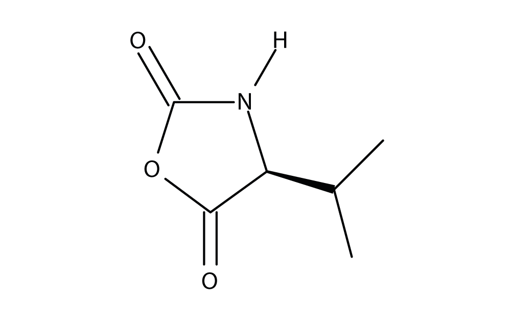 Aminoacide Derivatives | Valsynthese SA